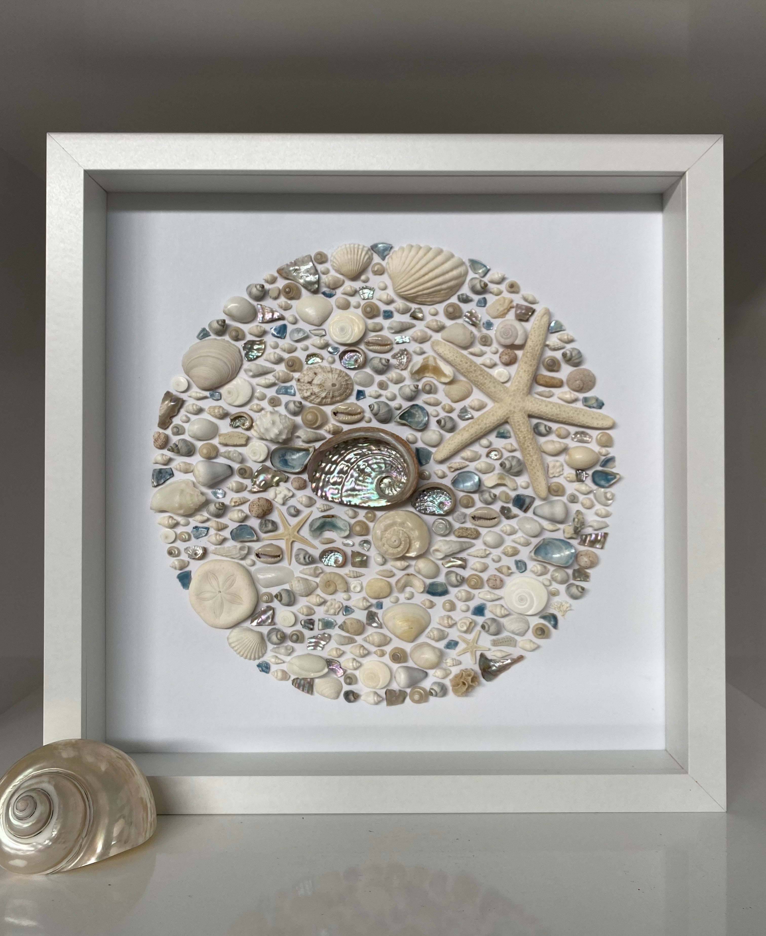 Large frames – The Intertidal Zone