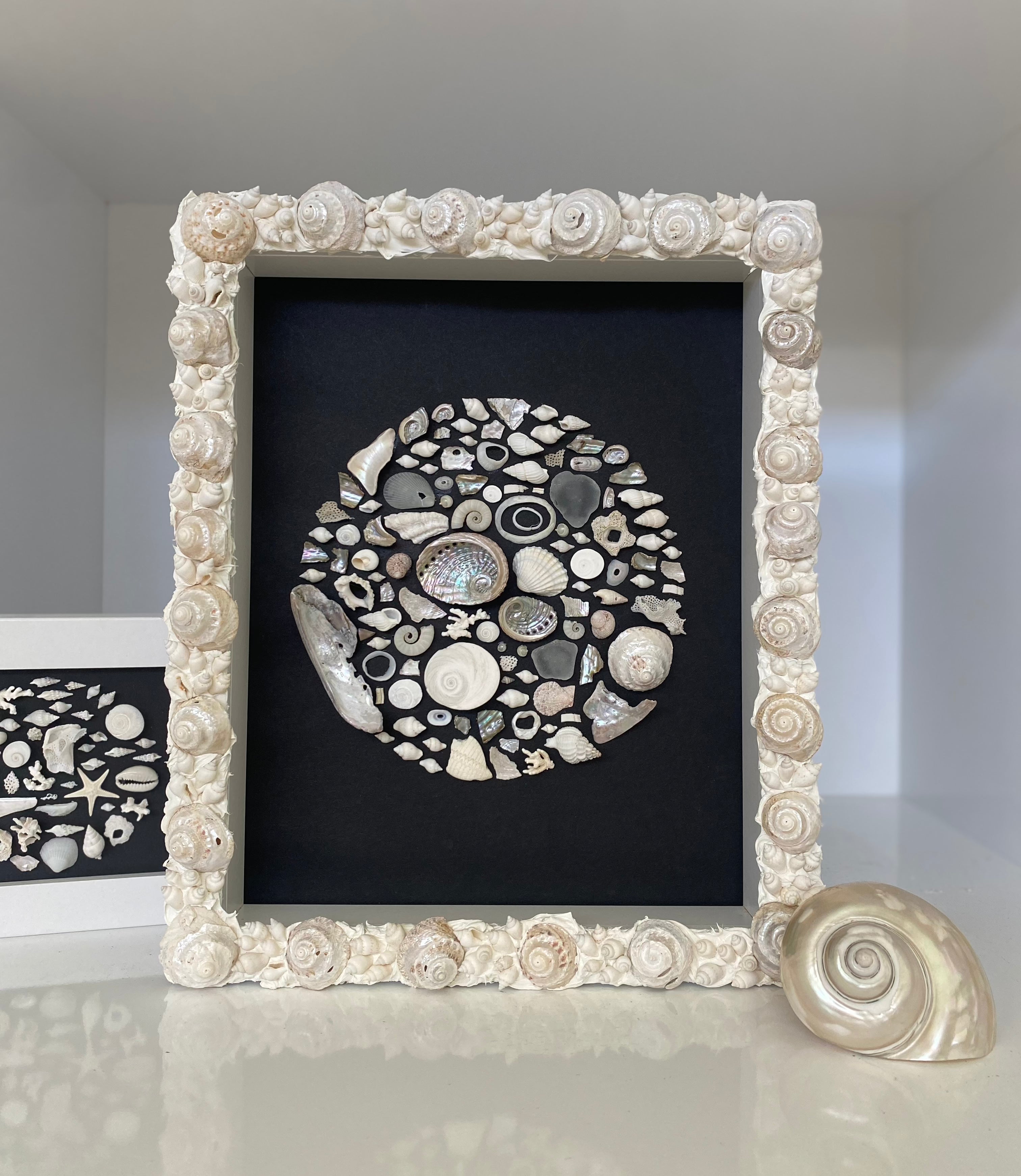 Medium frames – The Intertidal Zone